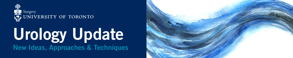 Société Internationale d'Urologie